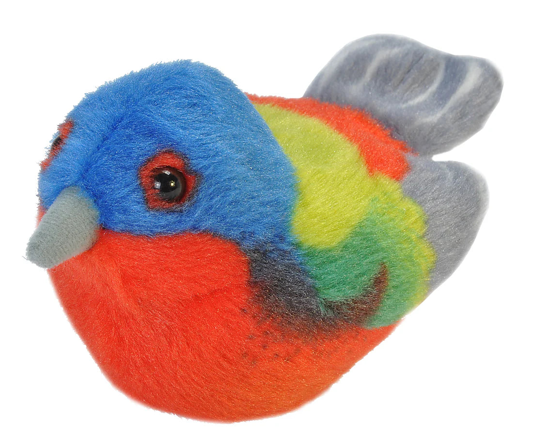Audubon Painted Bunting – Mudpuddles Toy Store