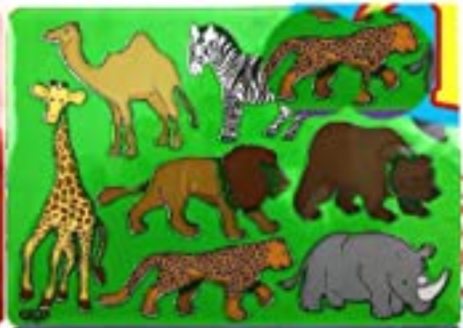 Mudpuddles Toy Store: A Great Place for Kids!